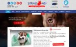 Stray Aid, Durham - Pet Rescue and Animal Welfare Groups on Adoptable.co.uk