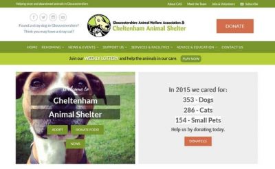 Cheltenham Animal Shelter, Cheltenham - Pet Rescue and Animal Welfare ...