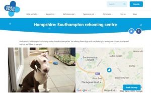 Blue Cross Southampton Rehoming Centre, Southampton - Pet Rescue and ...