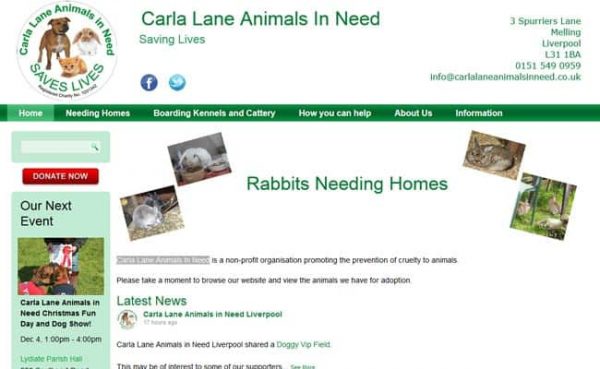 Carla Lane Animals In Need, Liverpool - Pet Rescue and Animal Welfare ...