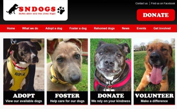 Sndogs, Swindon - Pet Rescue and Animal Welfare Groups on Adoptable.co.uk