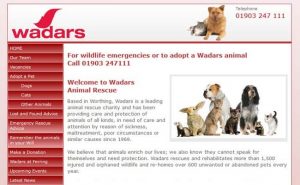Wadars Animal Rescue, Worthing - Pet Rescue and Animal Welfare Groups ...